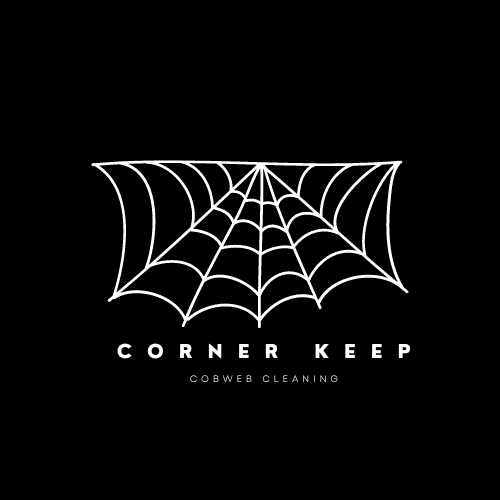 The Importance of Regular Cobweb Removal: Enhancing Your Living Space