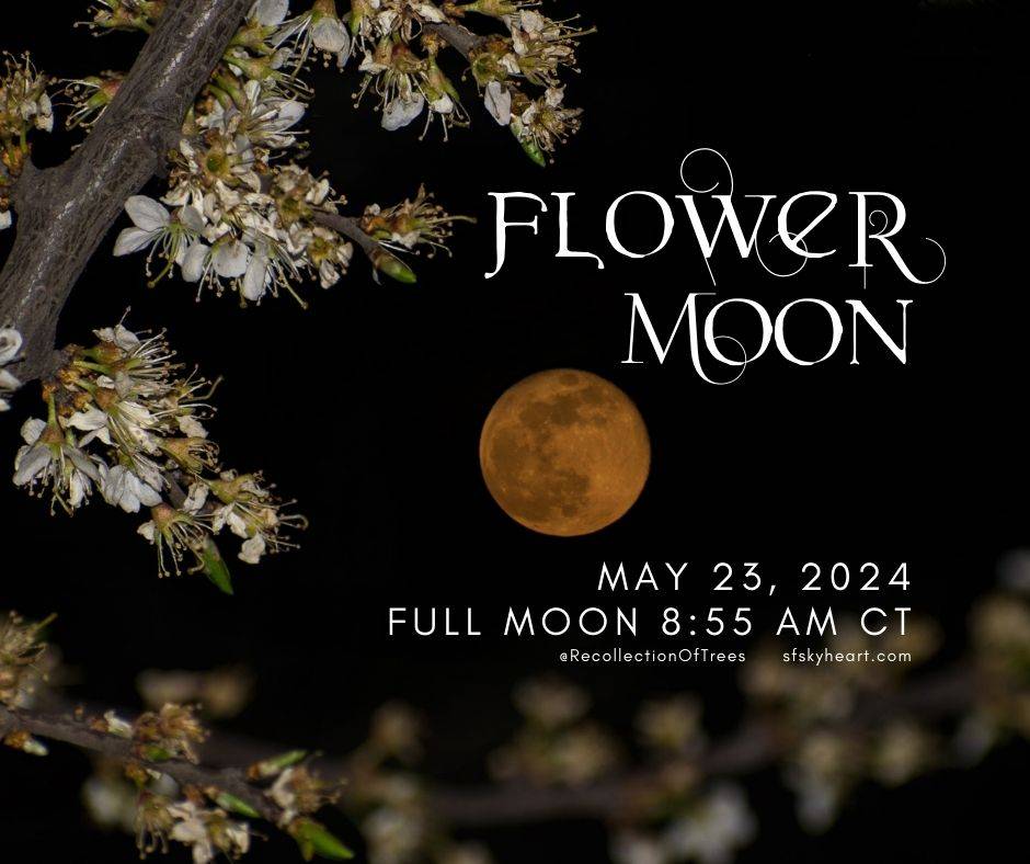 Flower Moon: May 2024