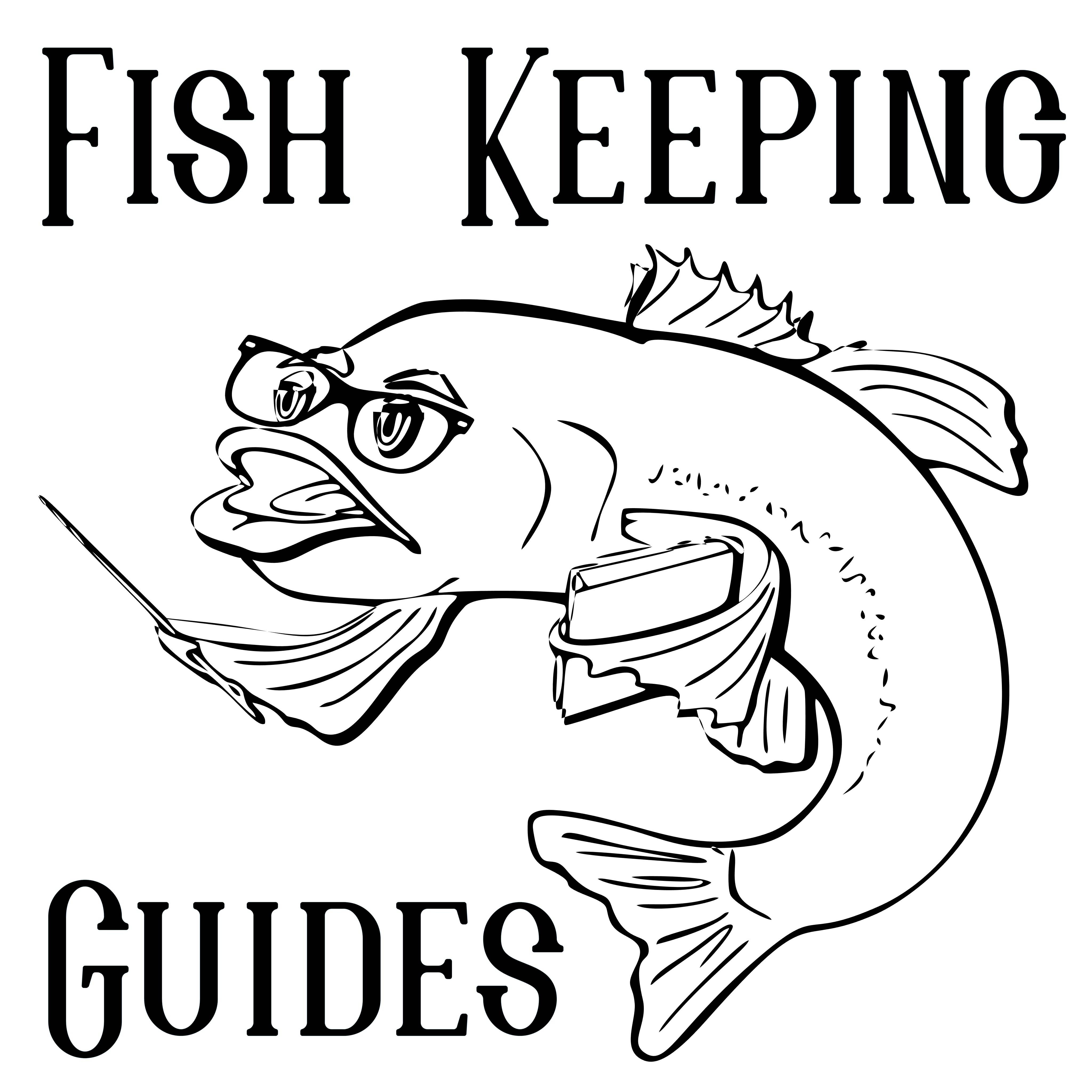 Fish tank tasks guide