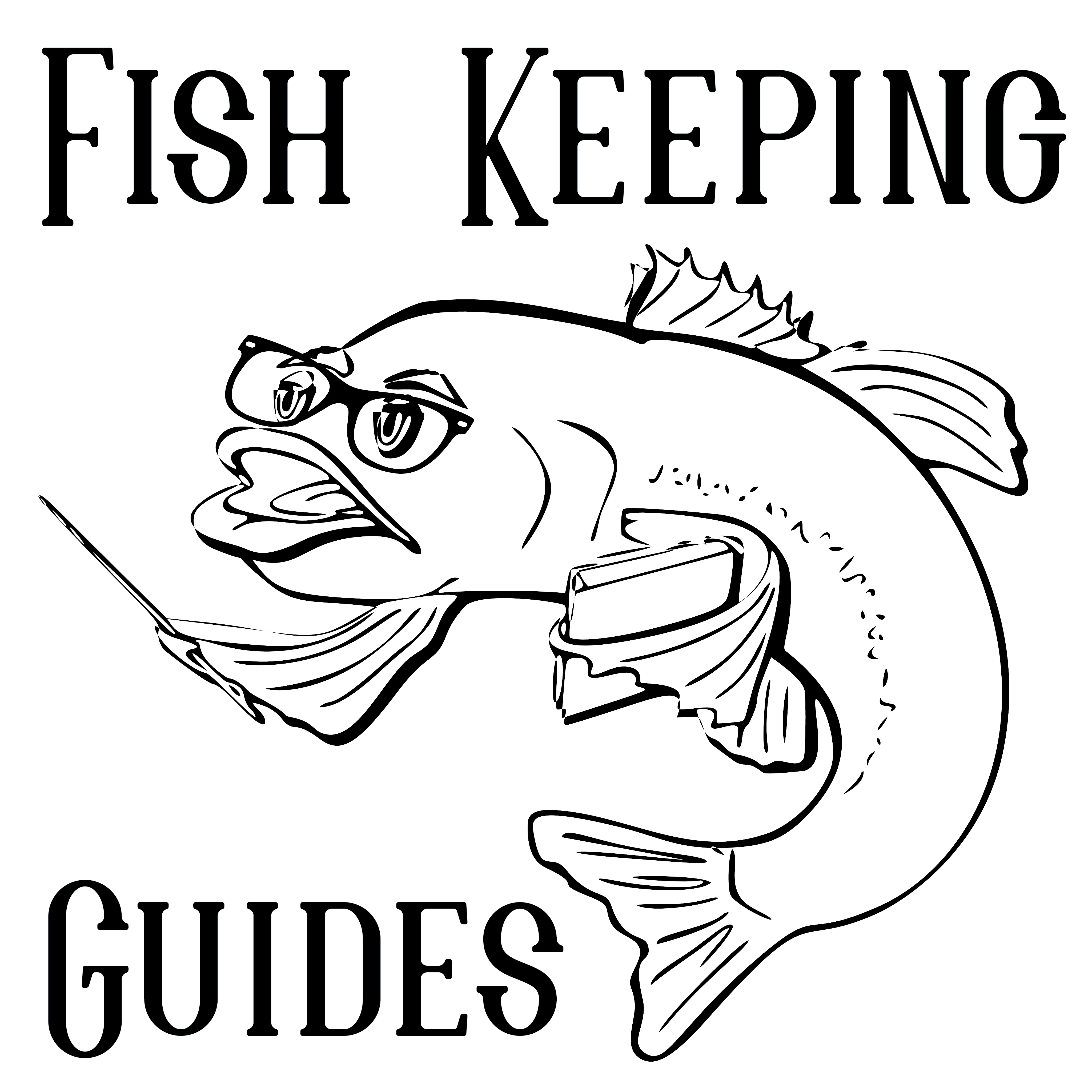 Fish Tank Tasks Guide