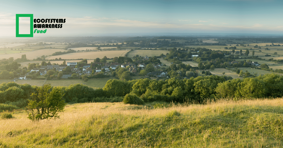 Unraveling Nature's Rhythms: Understanding Prolonged Seasons and ...